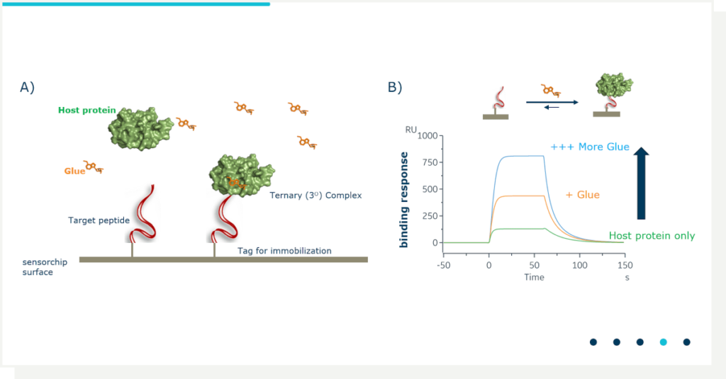 Small Molecule Induced Protein Complexes: Gluing the Pieces Together ...
