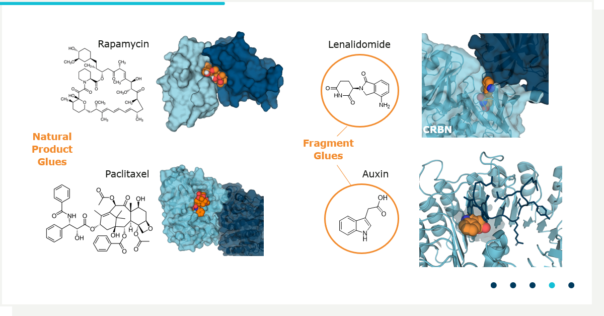 Molecular Glues Discovery - ZoBio - Drug Discovery Technology